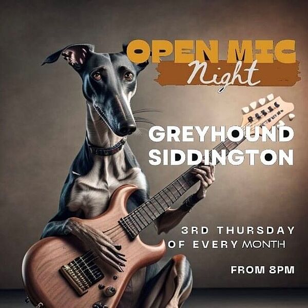 What's On - Greyhound